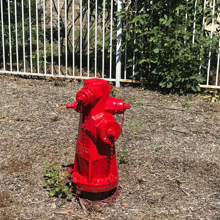 Fire Hydrants Fire Sprinkler Systems, Inspections, Services & Repairs